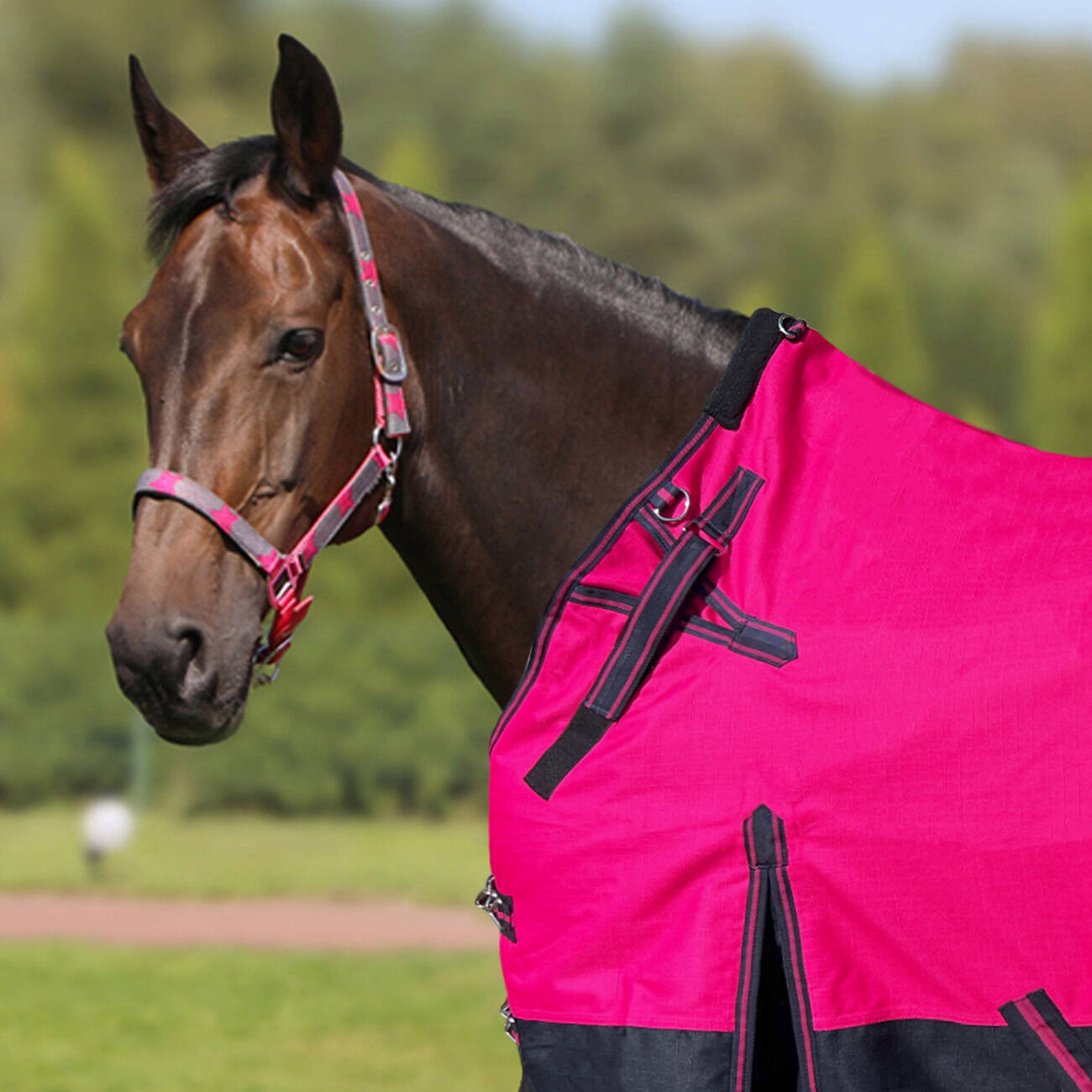 Derka Horsenjoy Astrea 100g 1200D 115 cm | KOŃ \ Derki \ Derki padokowe ...